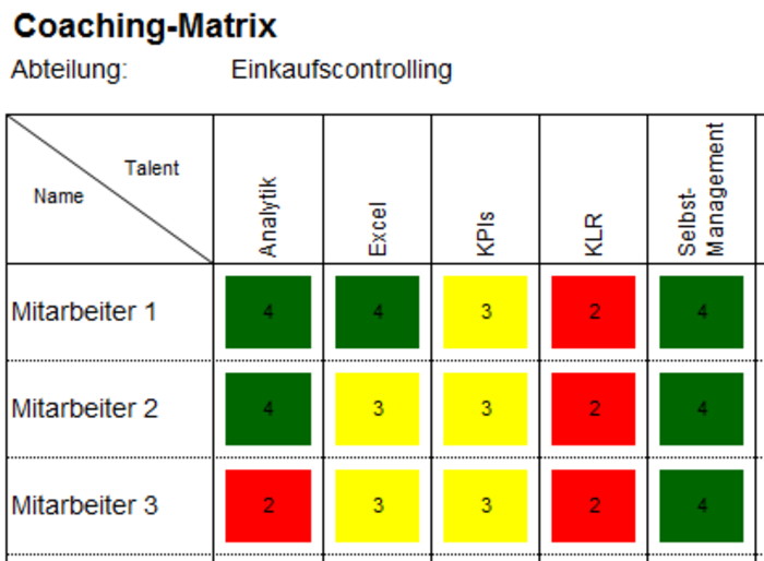 Coaching Matrix erstellen mit Excel - reimusnet | elopage