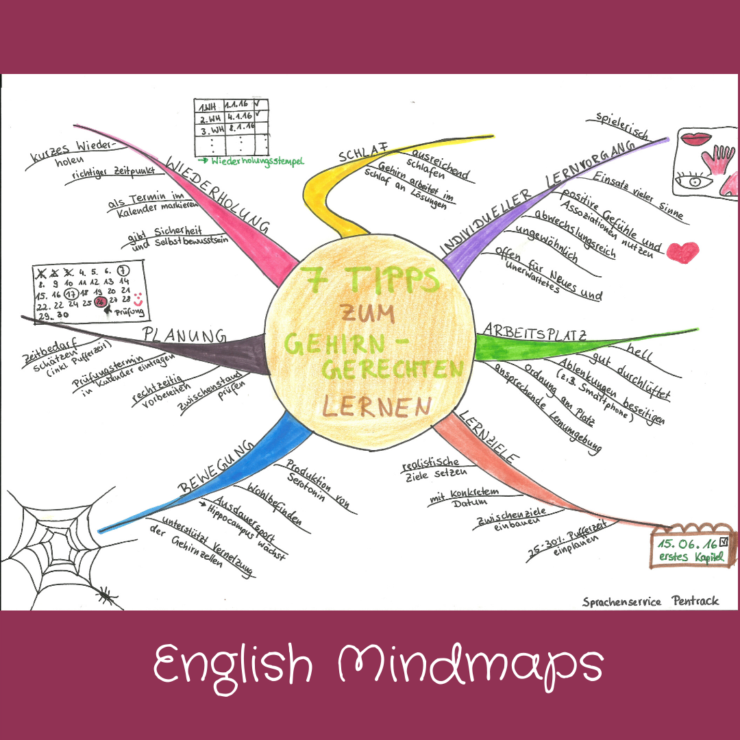 English Mindmaps - pentrack | elopage