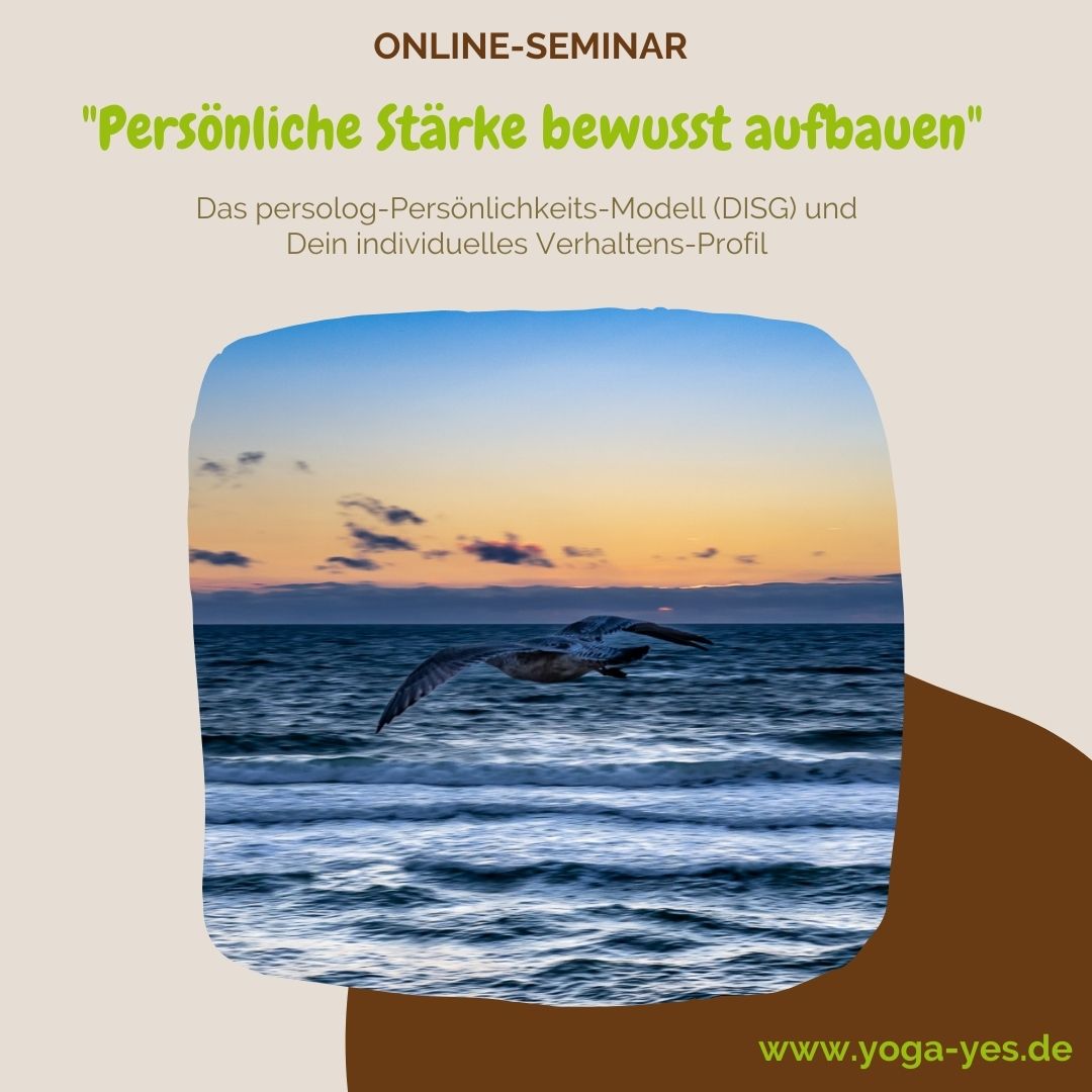 persolog-Persönlichkeits-Modell / Verhaltens-Profil, DISG | ablefy